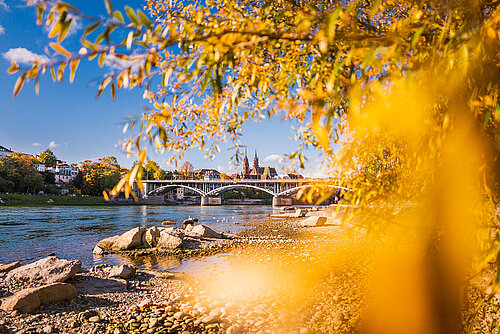 Herbstferien auf der Geschäftsstelle der Pro Innerstadt Basel ...
